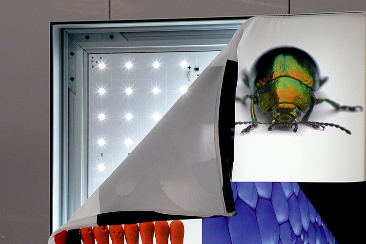 Wills Watson+Associates » Blog Archive » Praxis graphic banner systems